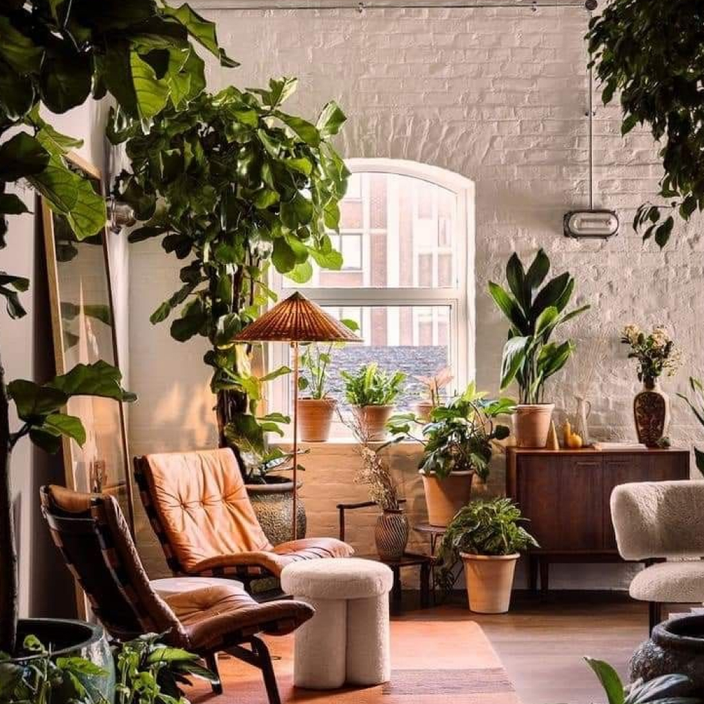 Tanaman Hias | Pilihan Terbaik untuk Rumah Lebih Rindang dan Cantik